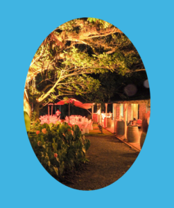 Domaine des Aubineaux - Groupe Saint Aubin